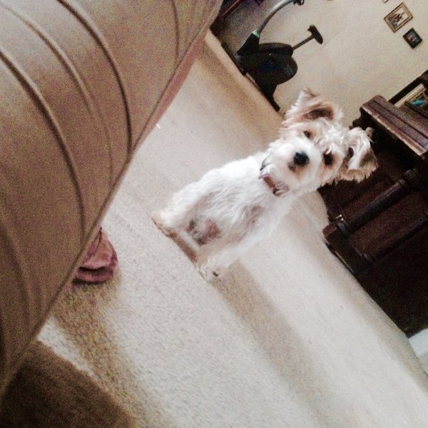 random old photo in my drafts ☺ | Aww