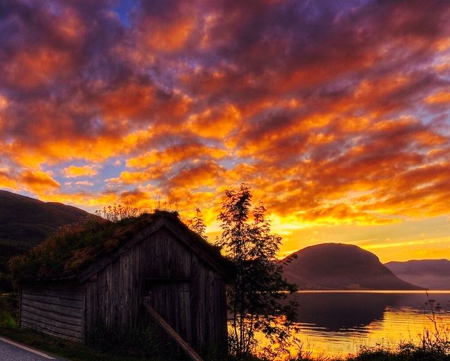 How do you reconnect with nature?? | Nature