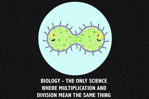 Mitosis: Splitting Up is Complicated - Crash Course Biology #12 ...