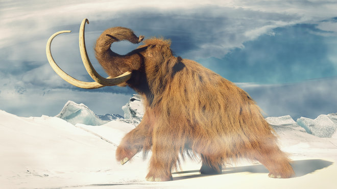 What is your favorite extinct animal? Mine is the mammoth. | Life
