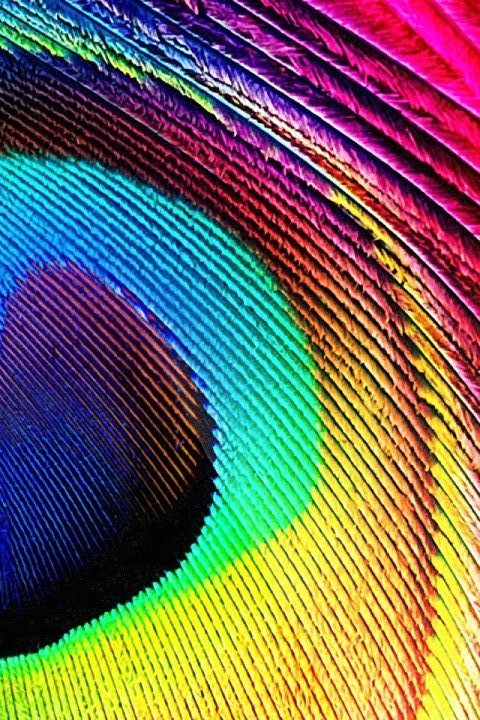 Ever been to a Smash Room ? Its where yo go and pay to beat the crap ...