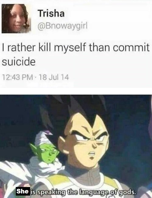 I Can't Go A Day Without Internet Memes | Internet Memes