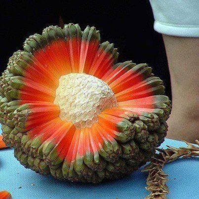 exotic malaysian fruit. Special fruit grown in the malaysian islands ...