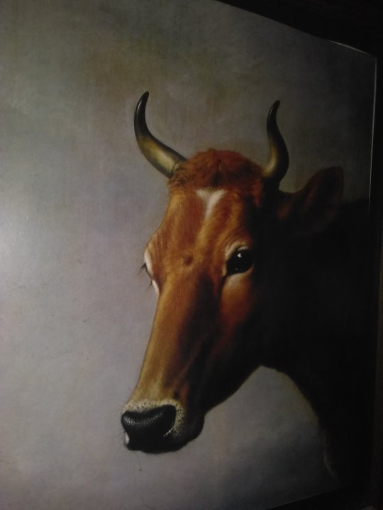 I Moo At Cows Here's the most famous cow on the planet, her name was ...