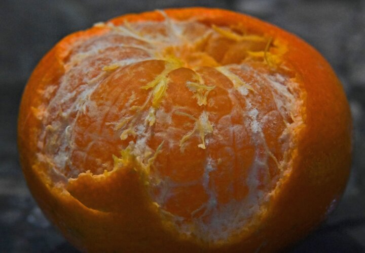 Happiness is peeling your tangerine in one shot 😜 | Red Hot Chili Peppers
