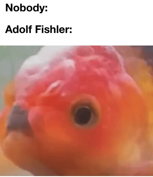 Lol, Seachem basically used a pic of Adolf Fishler on their product 😂 ...