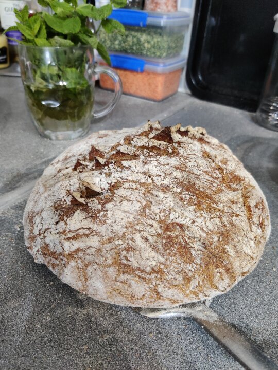 First attempt at making rustic bread Smells great. Didn't rise as much ...