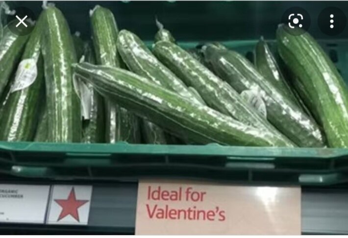 Have You Ever Girls Have You Ever Masturbated With A Cucumber