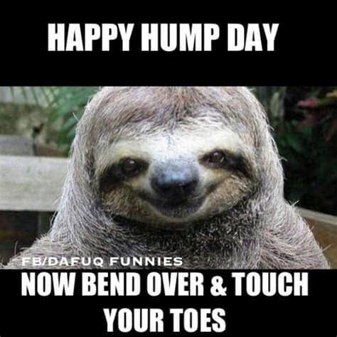 Do you hump on hump day? Happy hump day to the hump day humpers. And ...