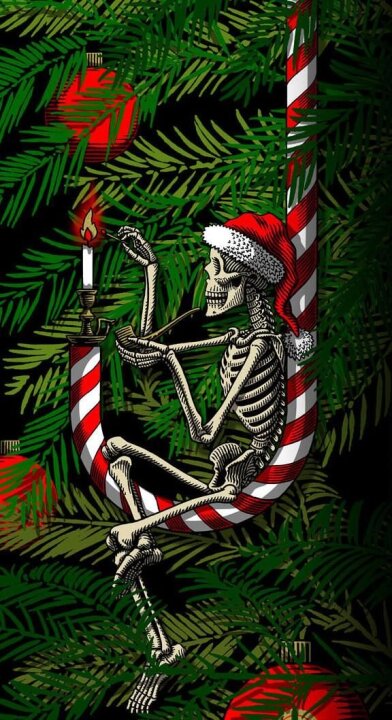 BTW Did you know ... There are 62 days till Christmas ⛄ | Holidays