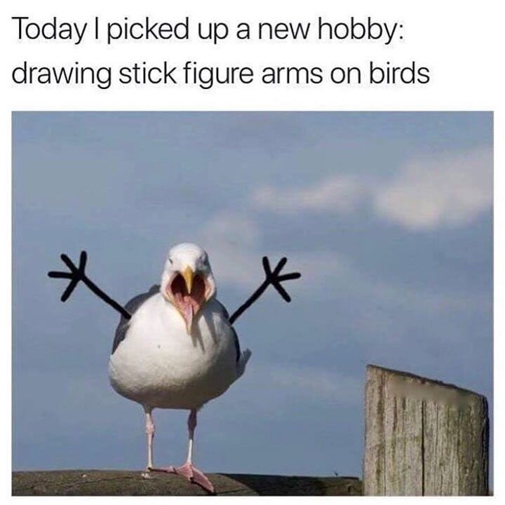 Hobbies, interests, obsession oh my or...i have no clue what category ...