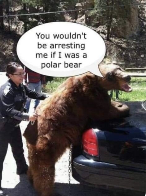 Brown bear brown bear what do you see ? I see a racist ass cop ...