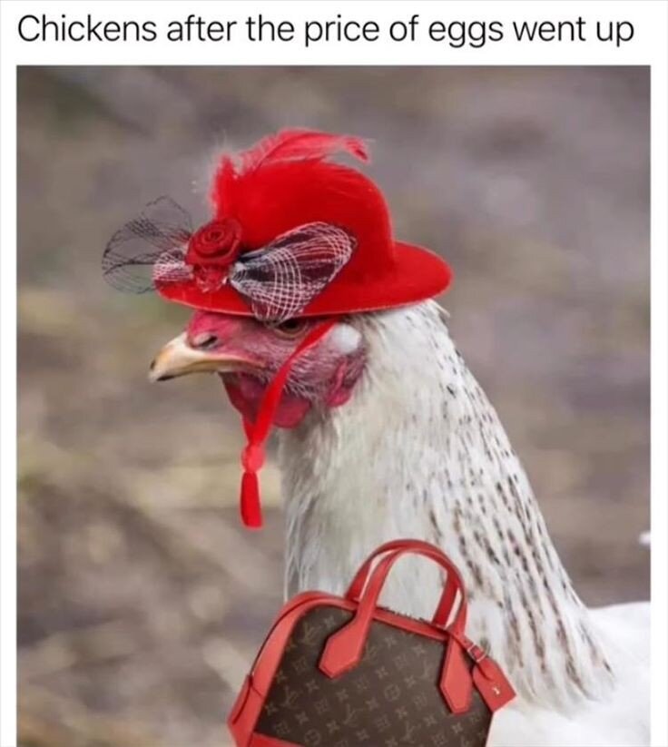 When chickens have nicer purses than you do ..now we know why Also I ...