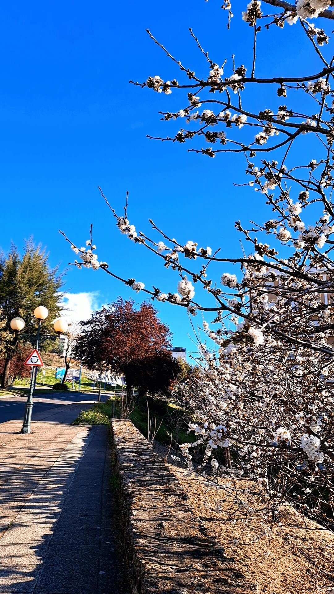 Good morning people... a beautiful spring morning around here. How is ...