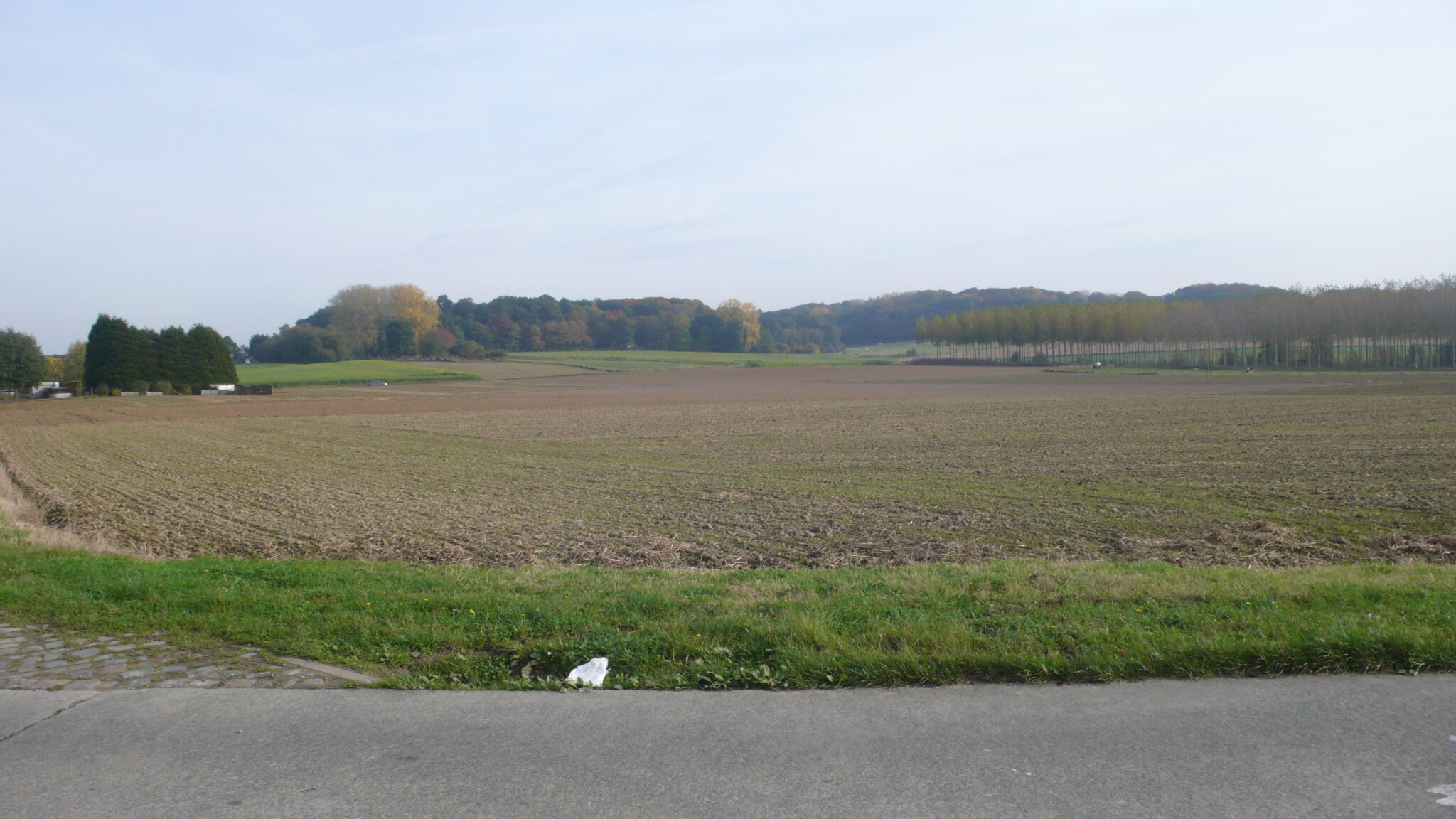 The Belgian farms In belgium nice farm with cow and horses and mutton ...