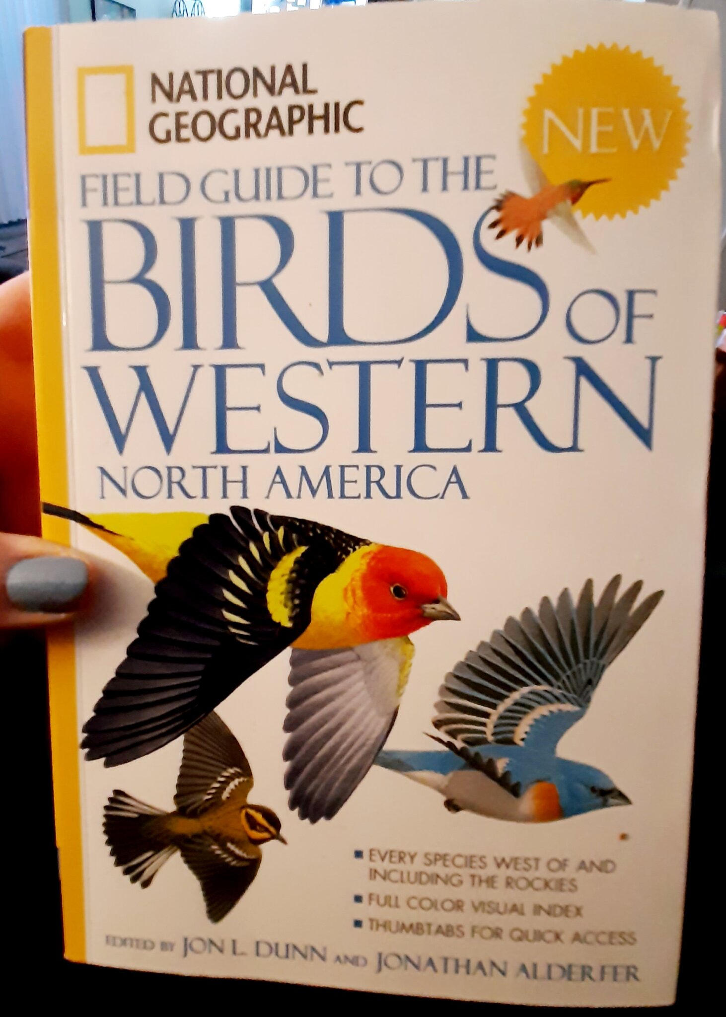 At some point in everyone's life, they become inexplicably obsessed ...