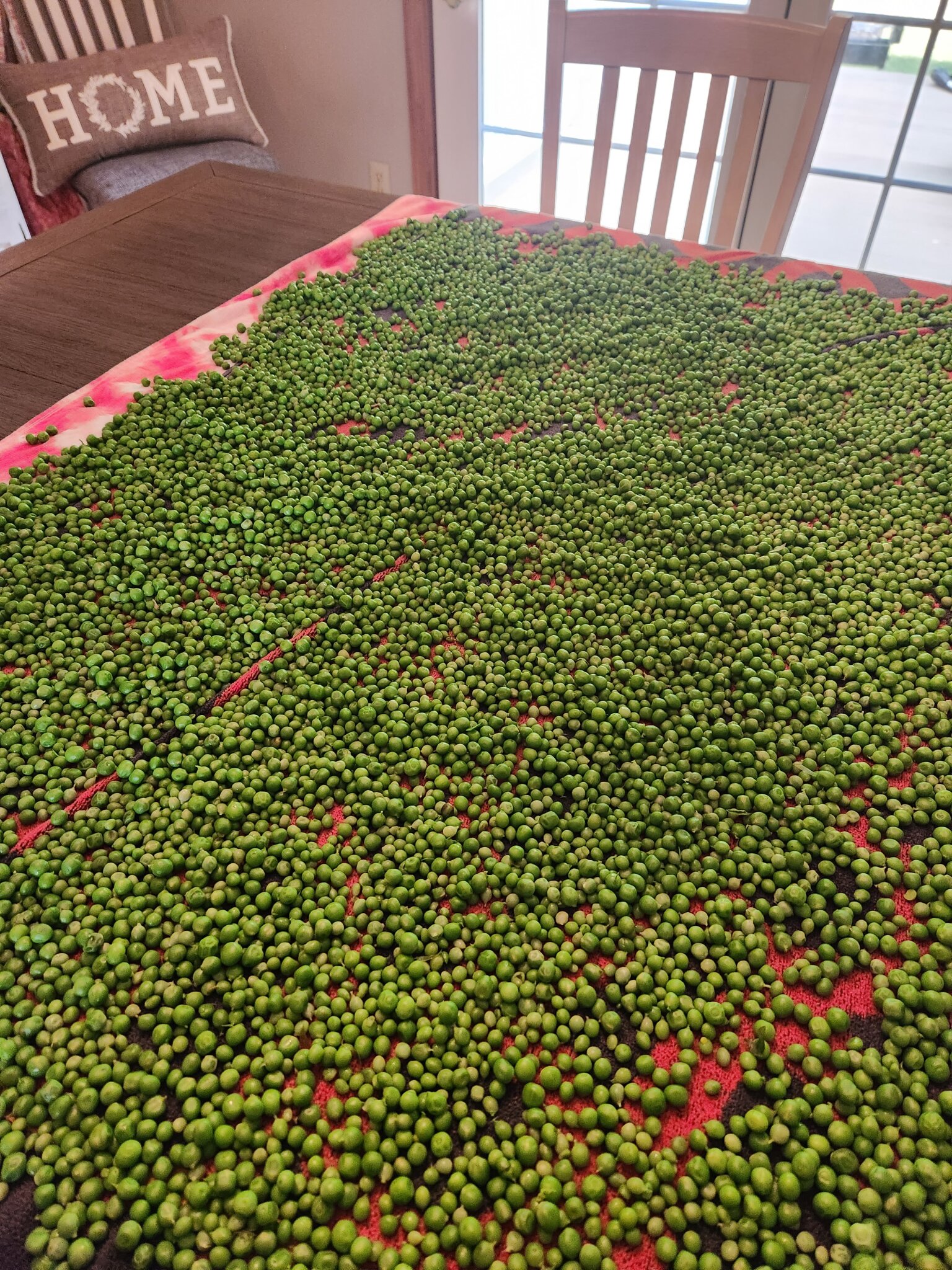 How are your pea shucking skills? | Family