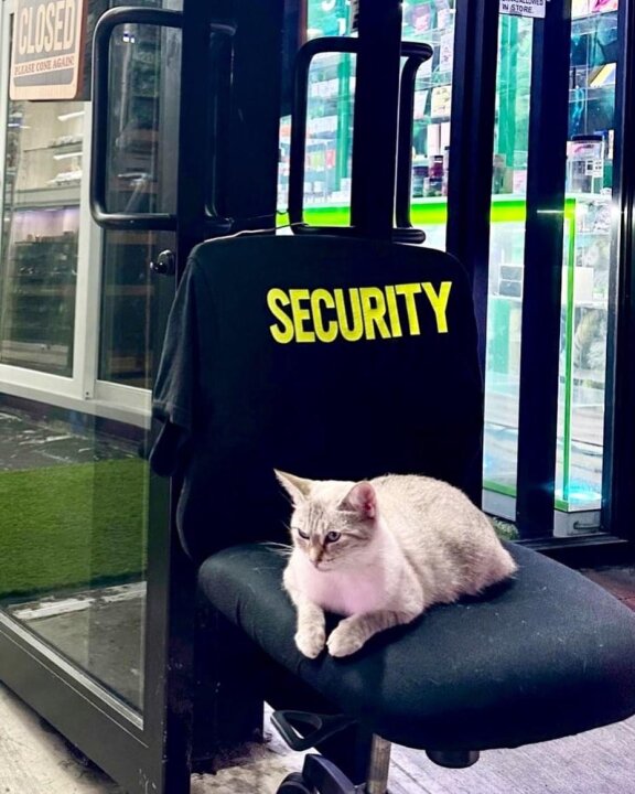 Man security here is tight | Memes