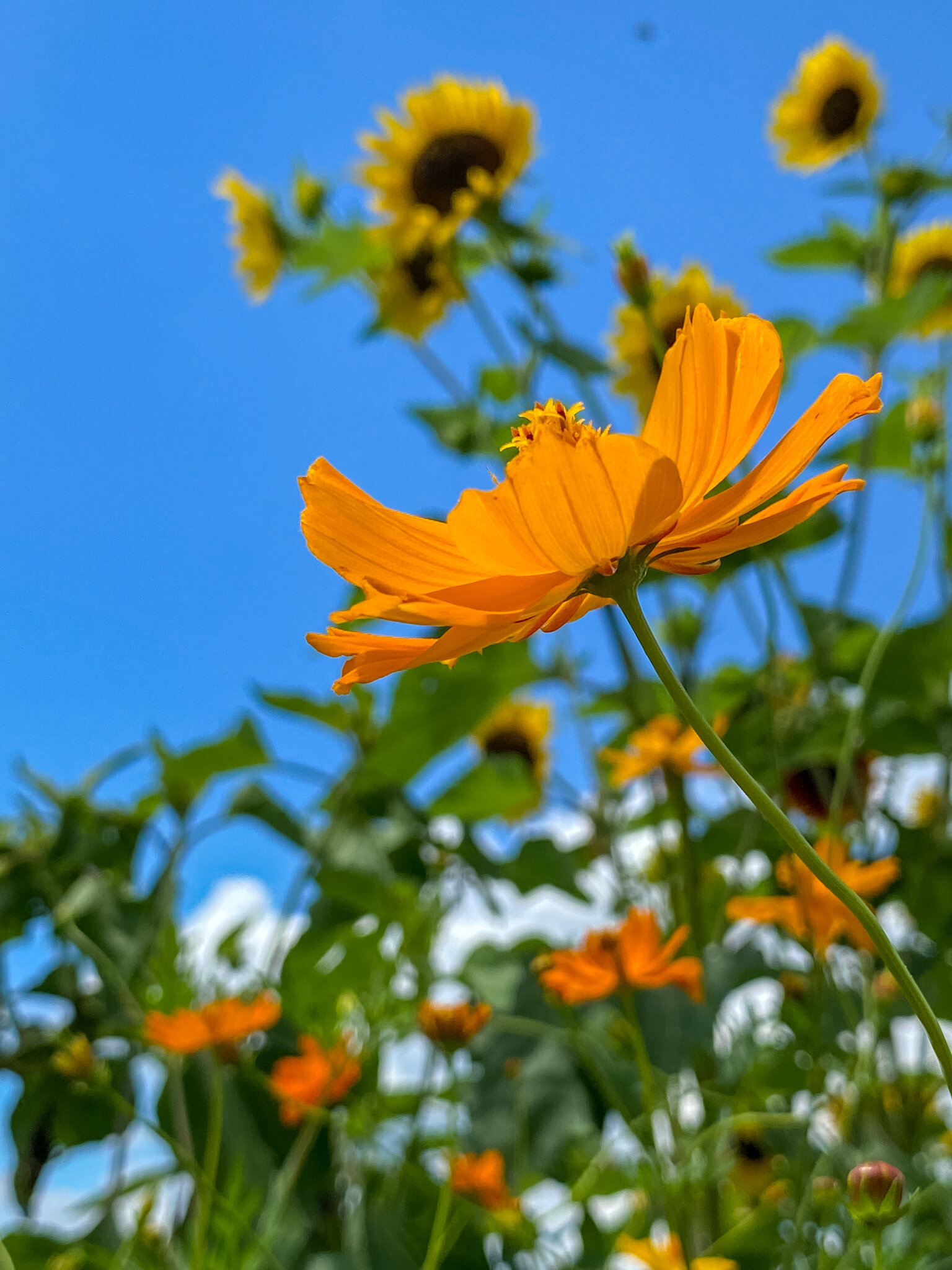 The day started late after a 2am game fest with my guys. There were no ...