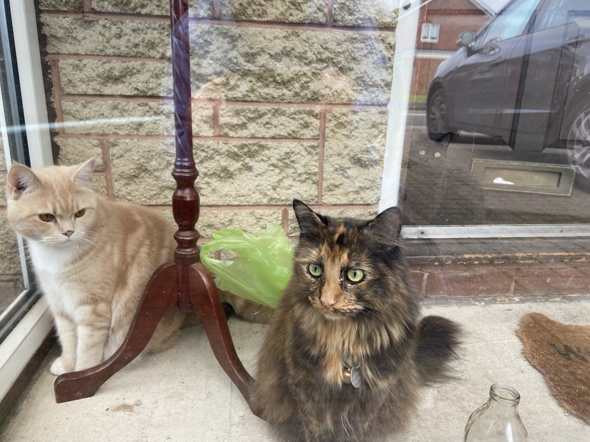 Do you get the feeling your being watched??? well there I am outside ...