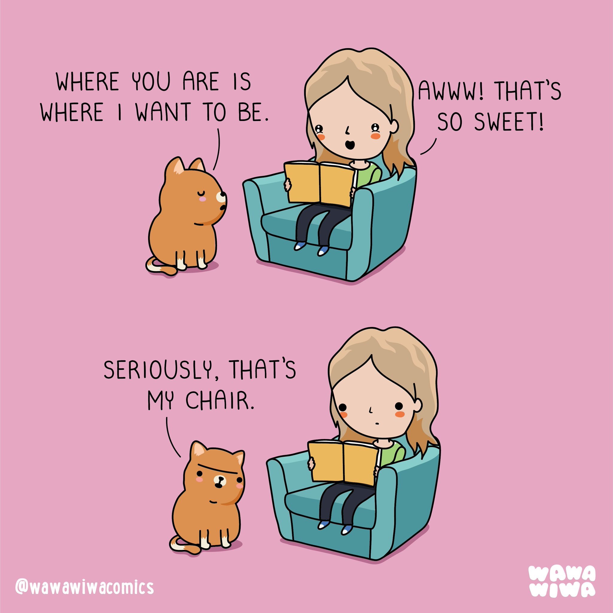 You probably know Schrödinger's cat, but have you heard of Sheldon's ...