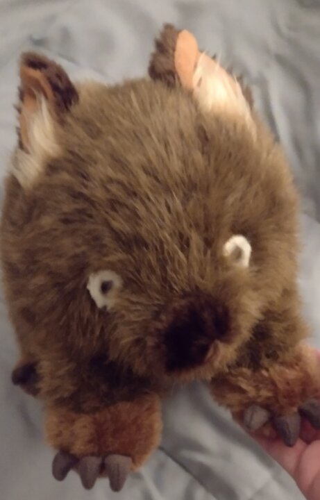 Never buy dice from wombats. | Straylights stray thoughts