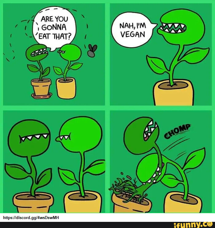 A plant meme | Memes