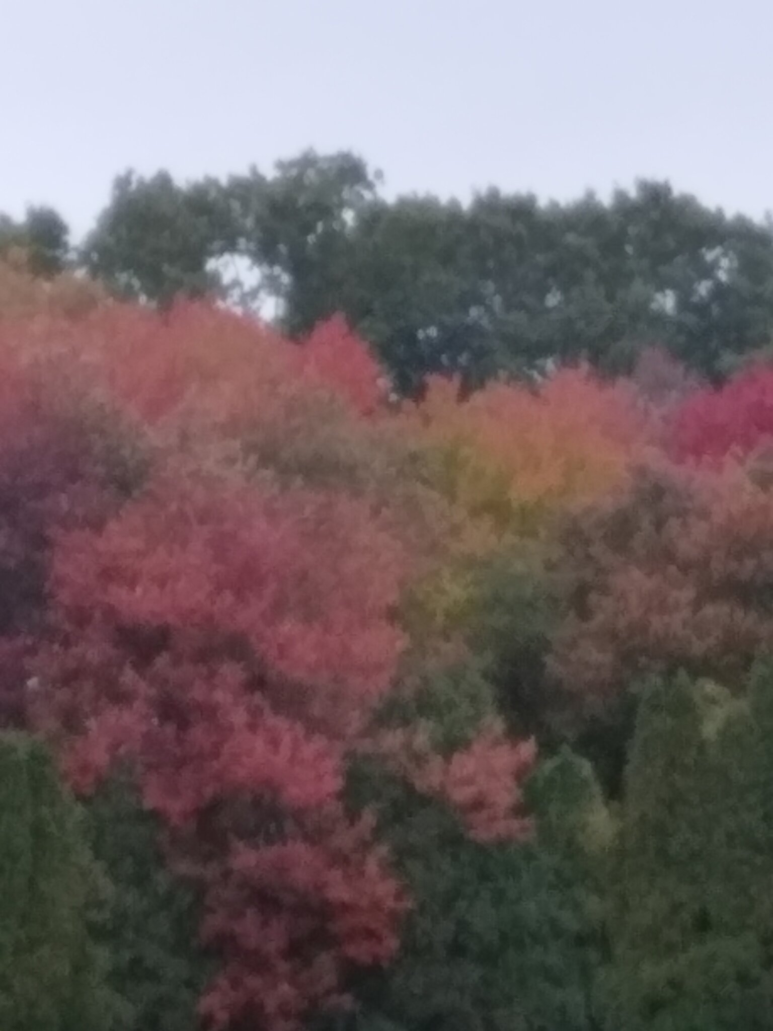 A fall evening | Nature & Outdoors