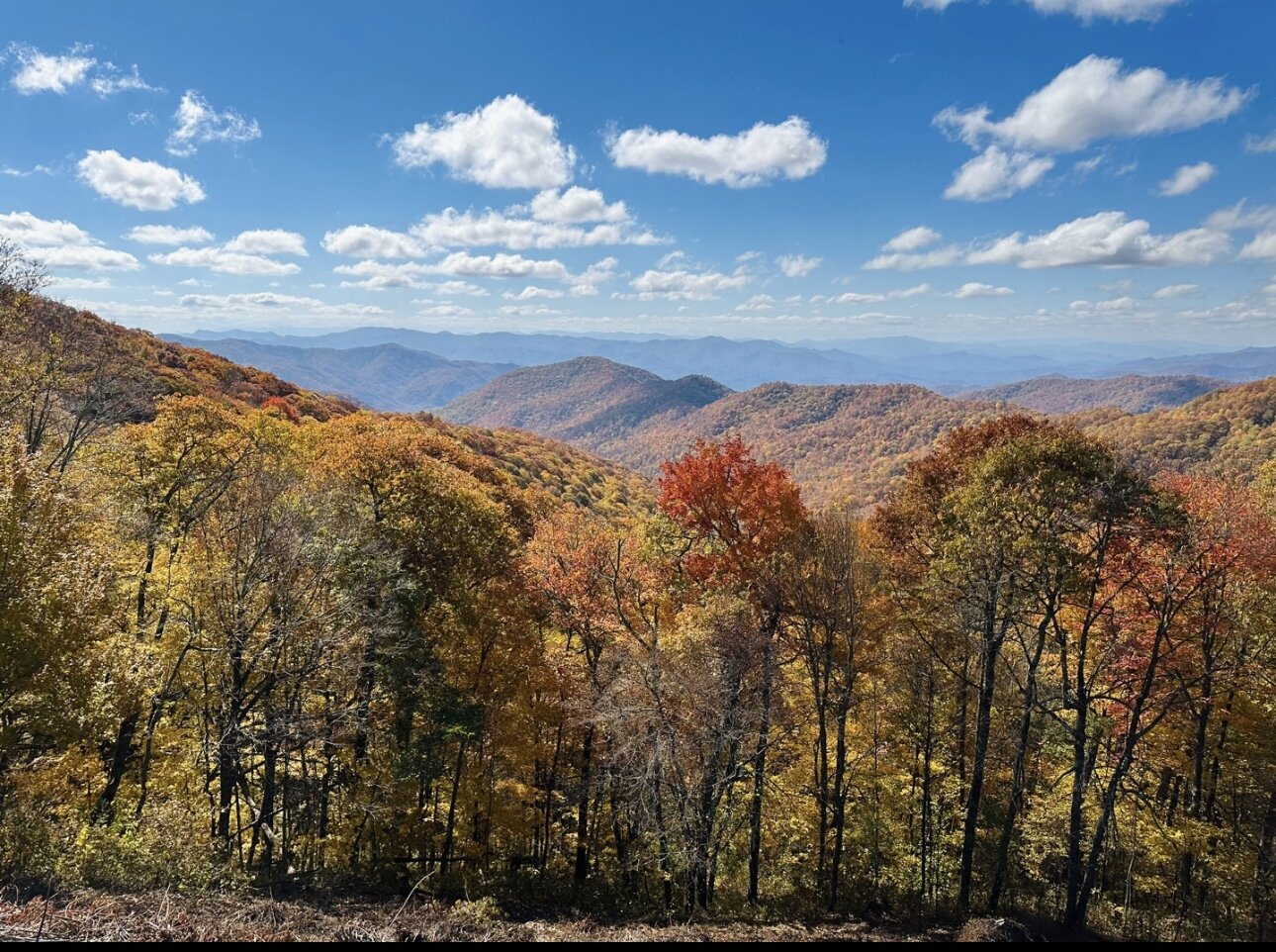 Beautiful nature-Blue Ridge Parkway, Asheville | Nature & Outdoors
