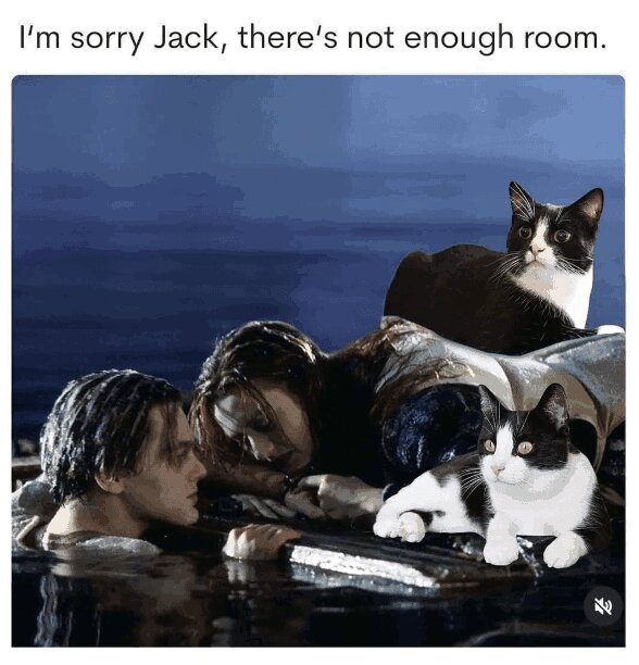 Sorry Jack. There's not enough room. | Memes