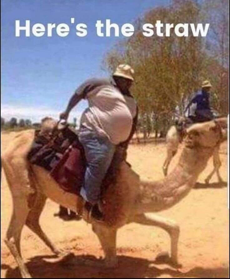 The straw that broke the camels back | Back Pain