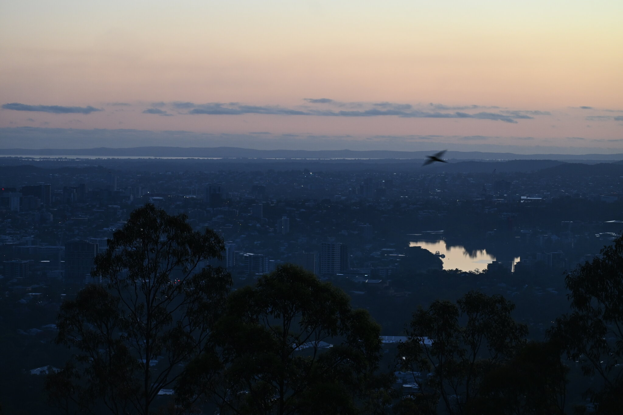 Brisbane river at sunrise | Places & Scenery