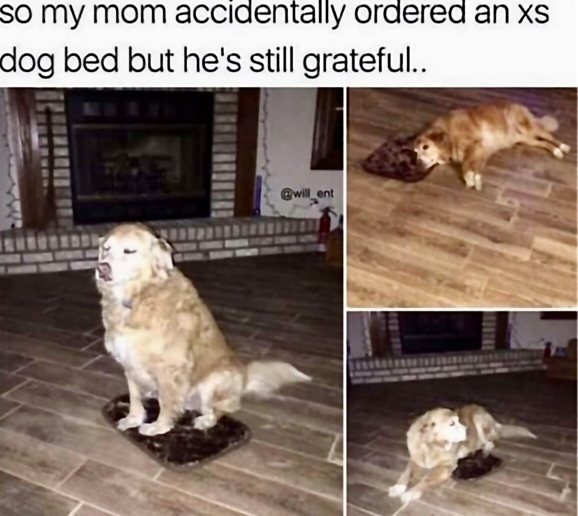 7 silly but positive memes ive found :) | Need To Be Silly Sometimes