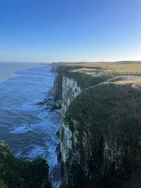 Along the North Yorkshire Coast at New Year - Bempton Cliffs ...