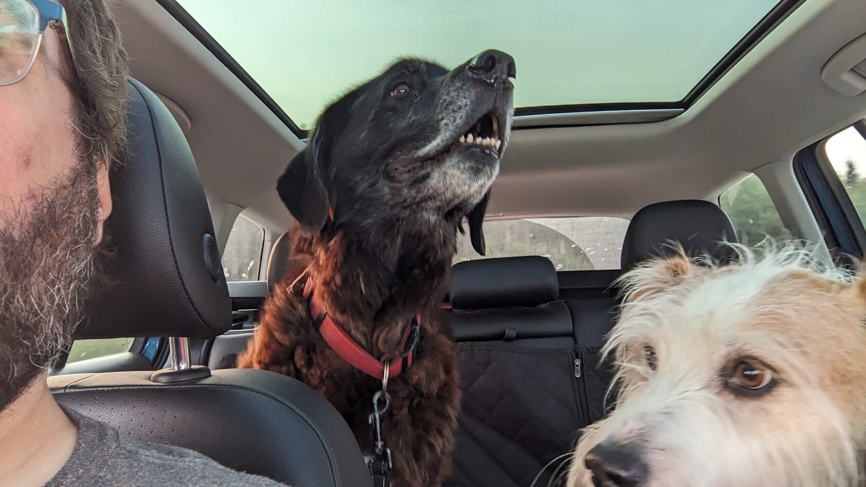 Some pictures of Gaz Finding him that morning was horrible but I have ...