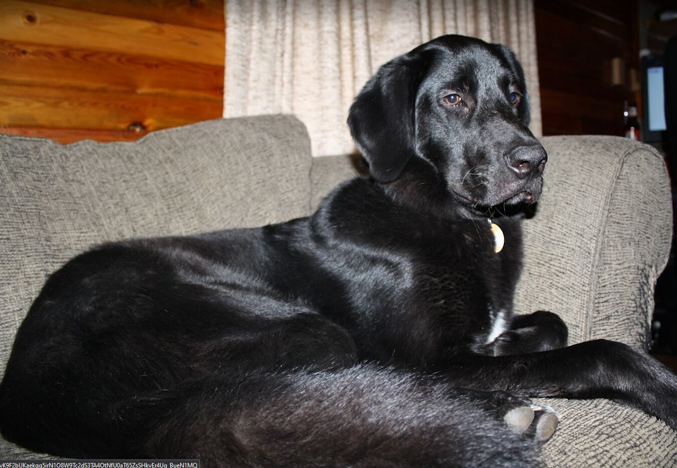 Some pictures of Gaz Finding him that morning was horrible but I have ...