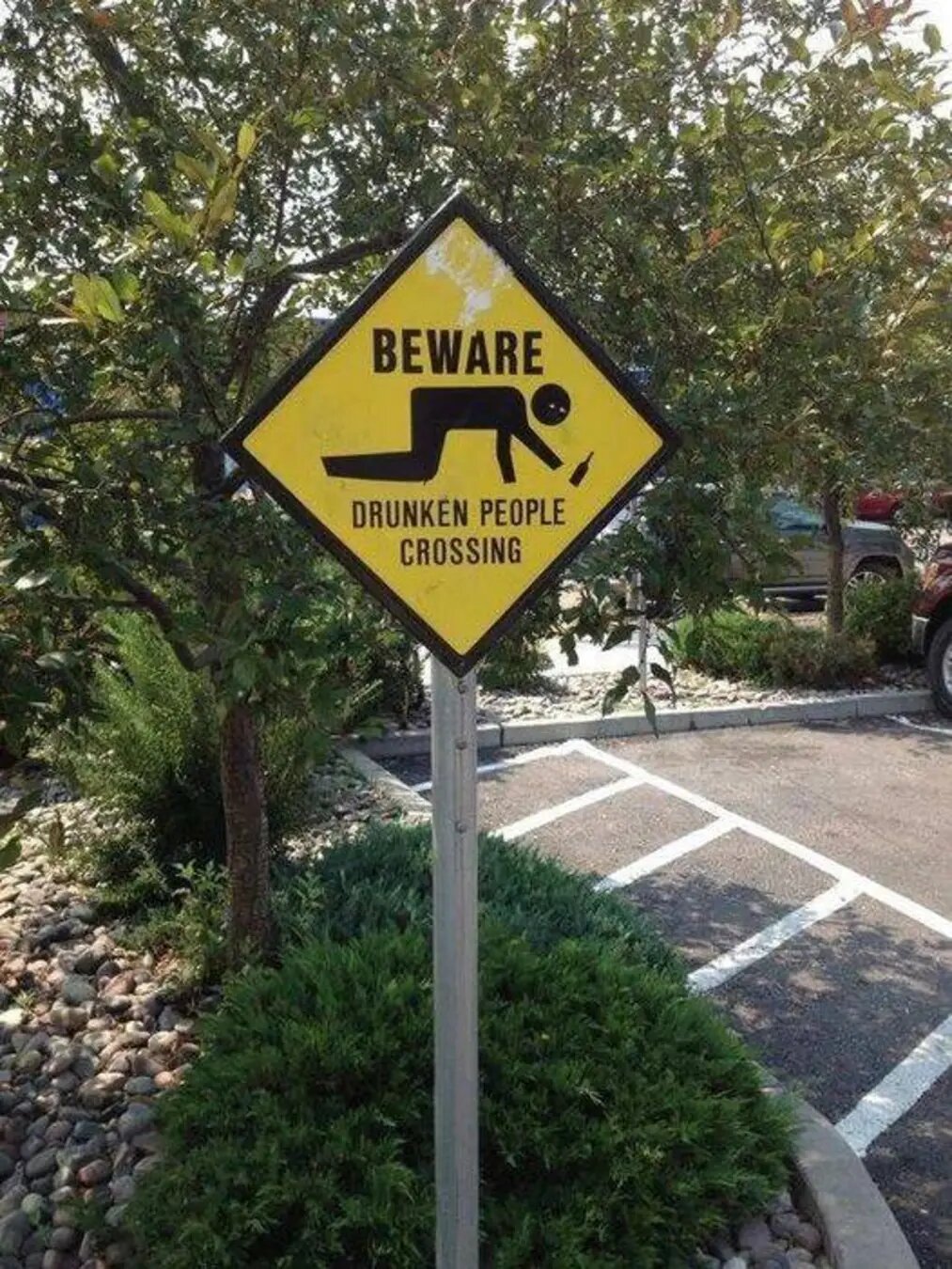 Have you ever scuttled home on all fours? | Nature & Outdoors