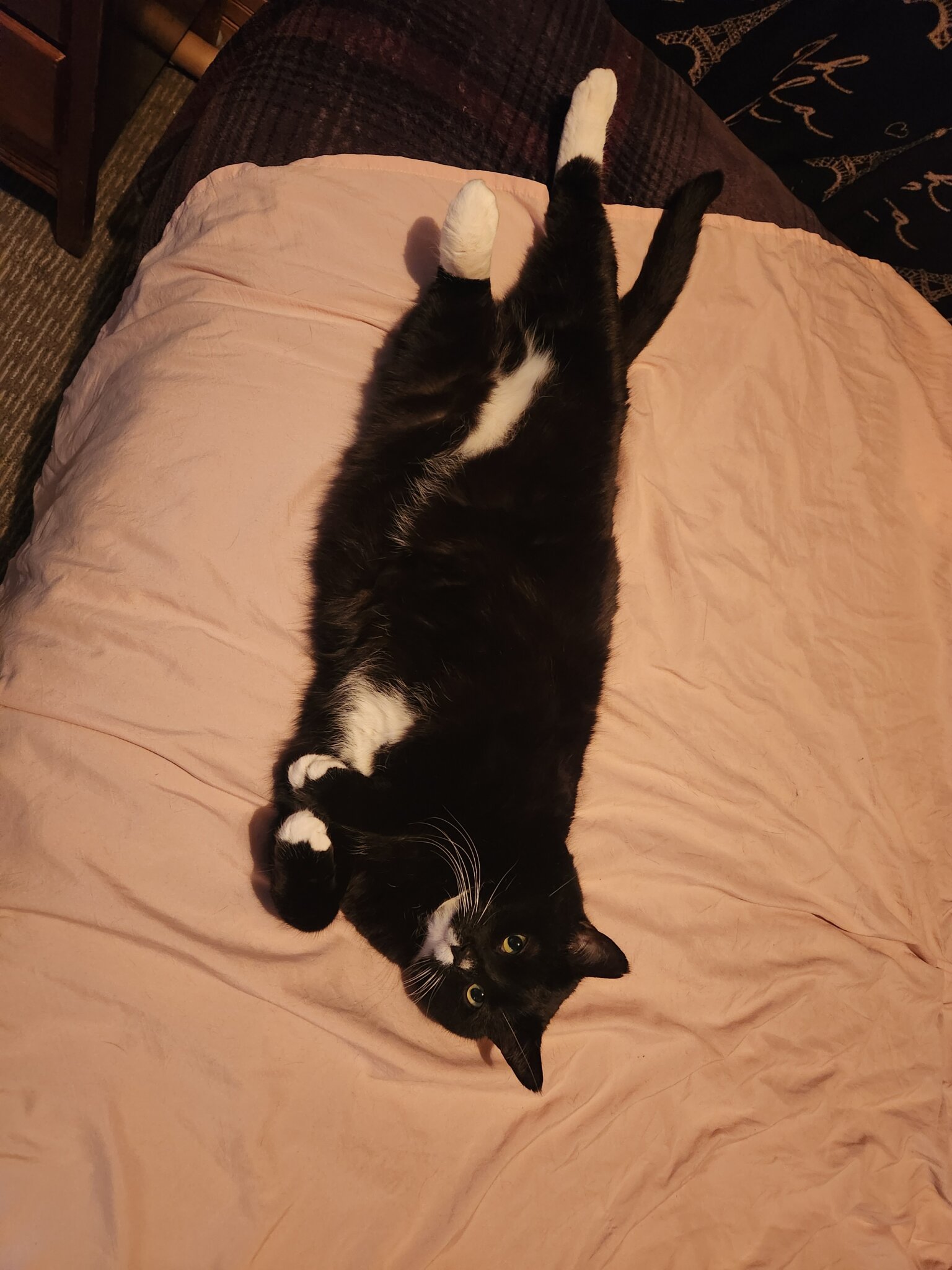 I think we could all use something a bit positive or at least I could ...