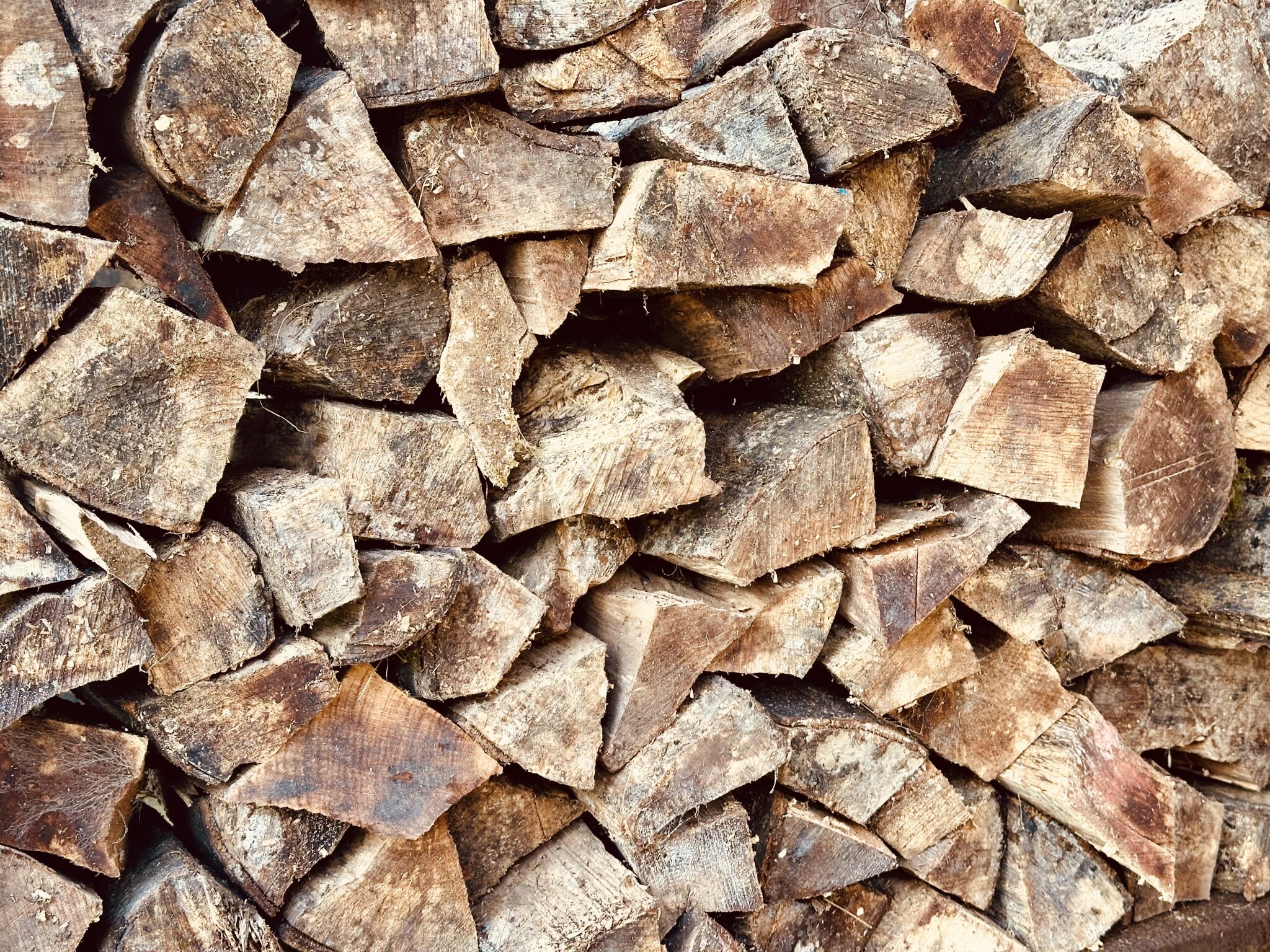 Stacking logs Stacking beech logs today that I cut 18 months ago… ready ...