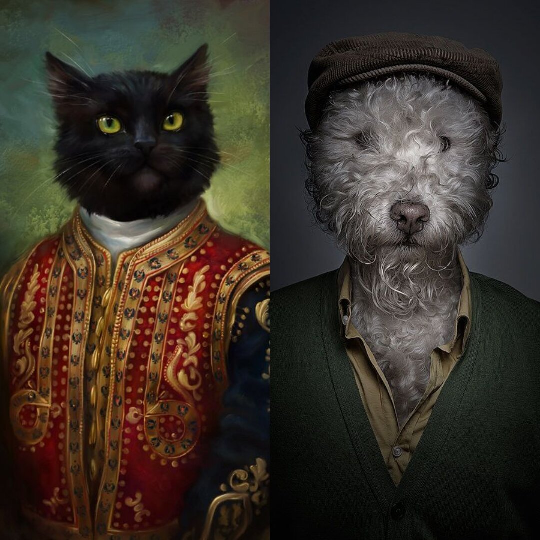 When I get asked if I'm a cat or a dog person I am literal dog person ...