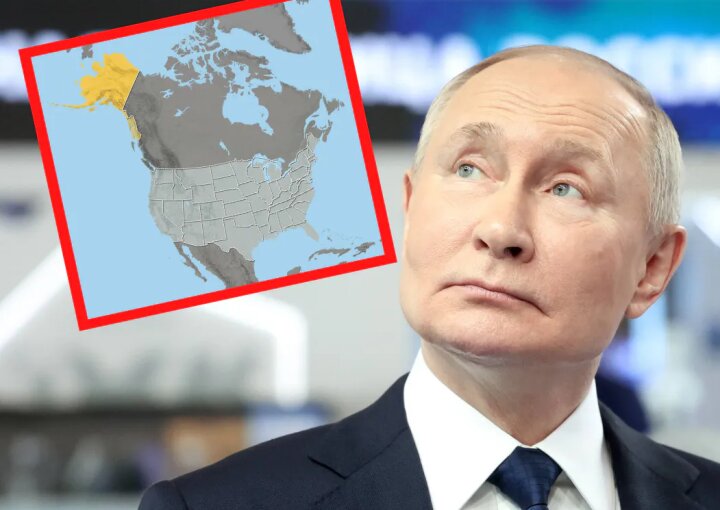 President-Elect Trump Hints at Removing Polar Bears From Alaska. | Politics President-Elect Trump Hints at Removing Polar Bears From Alaska. | Politics