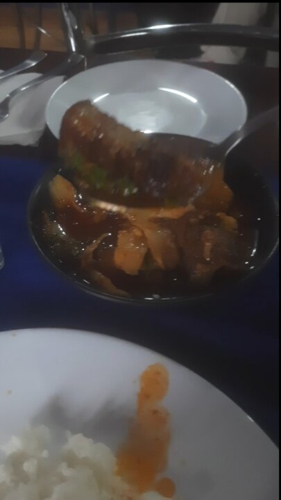 This is what I ate in Tomba Kitchen today. How is it? Tomba Kitchen is ...