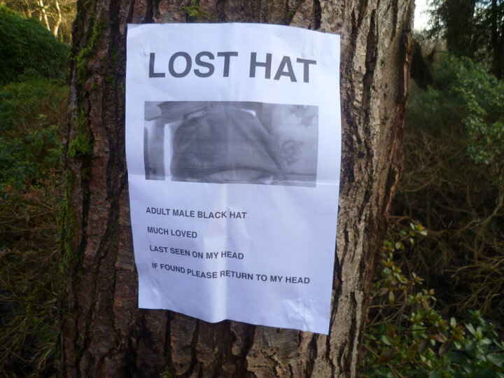 My hat flew away. Took my hand off for one moment Stupid tornado ...