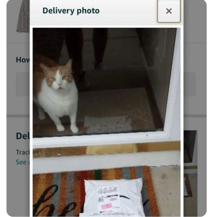 Nice, my package 📦 has arrived | Memes