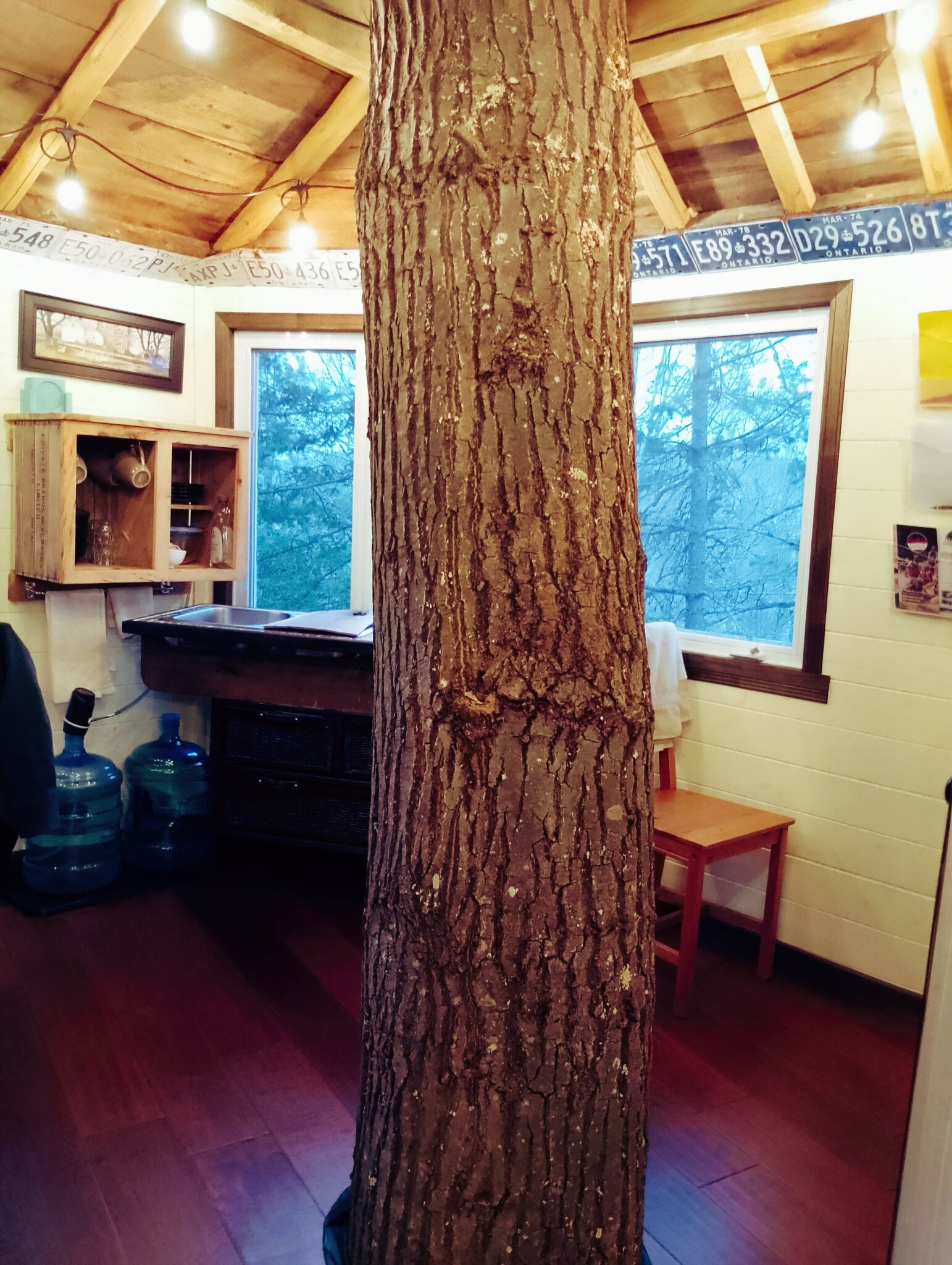 Went to a sauna , a rave , a stripclub and now we are on a tree 🌲 ...