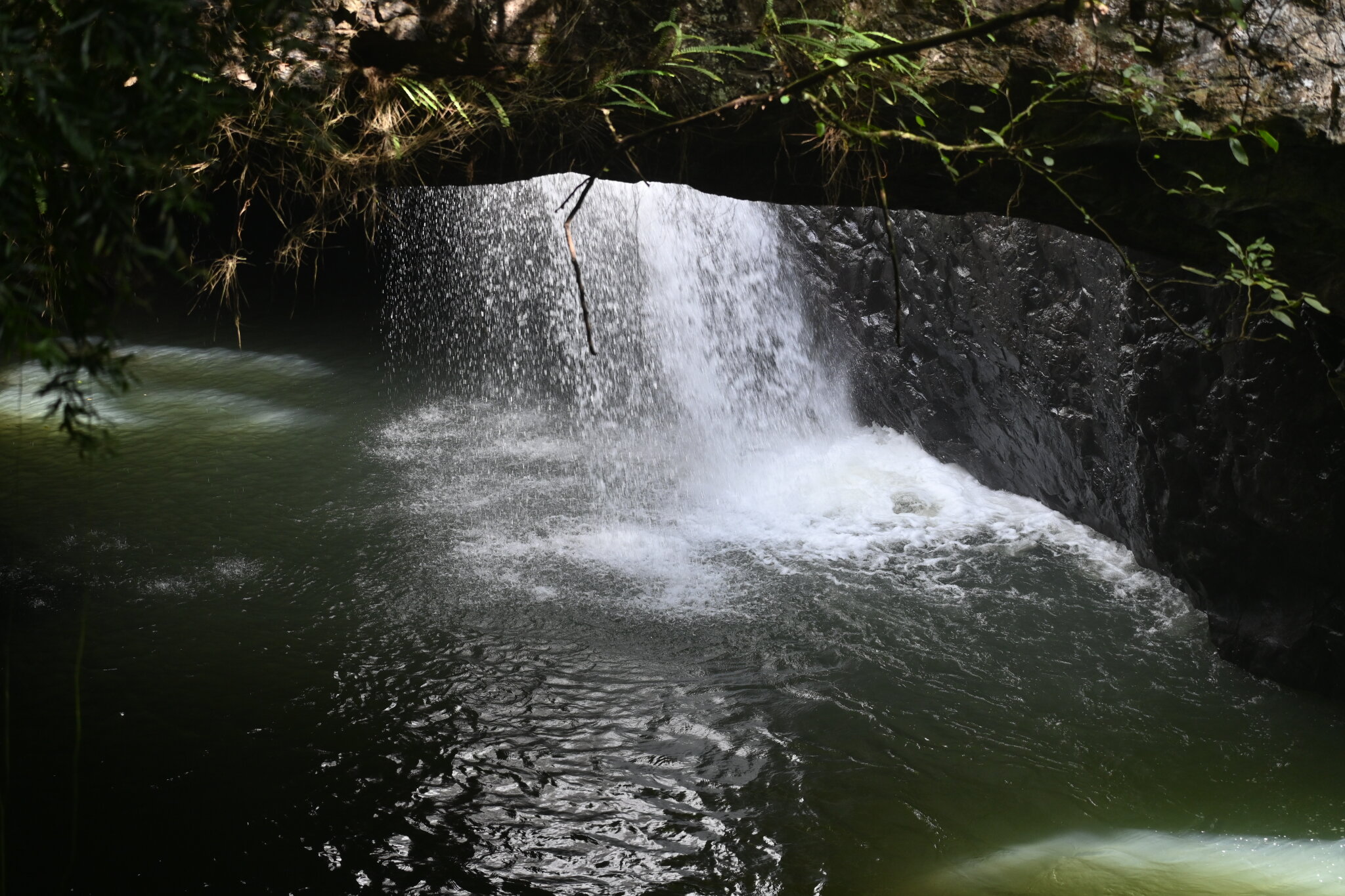 Basalt cave waterfall - Natural Bridge , Australia | Places & Scenery
