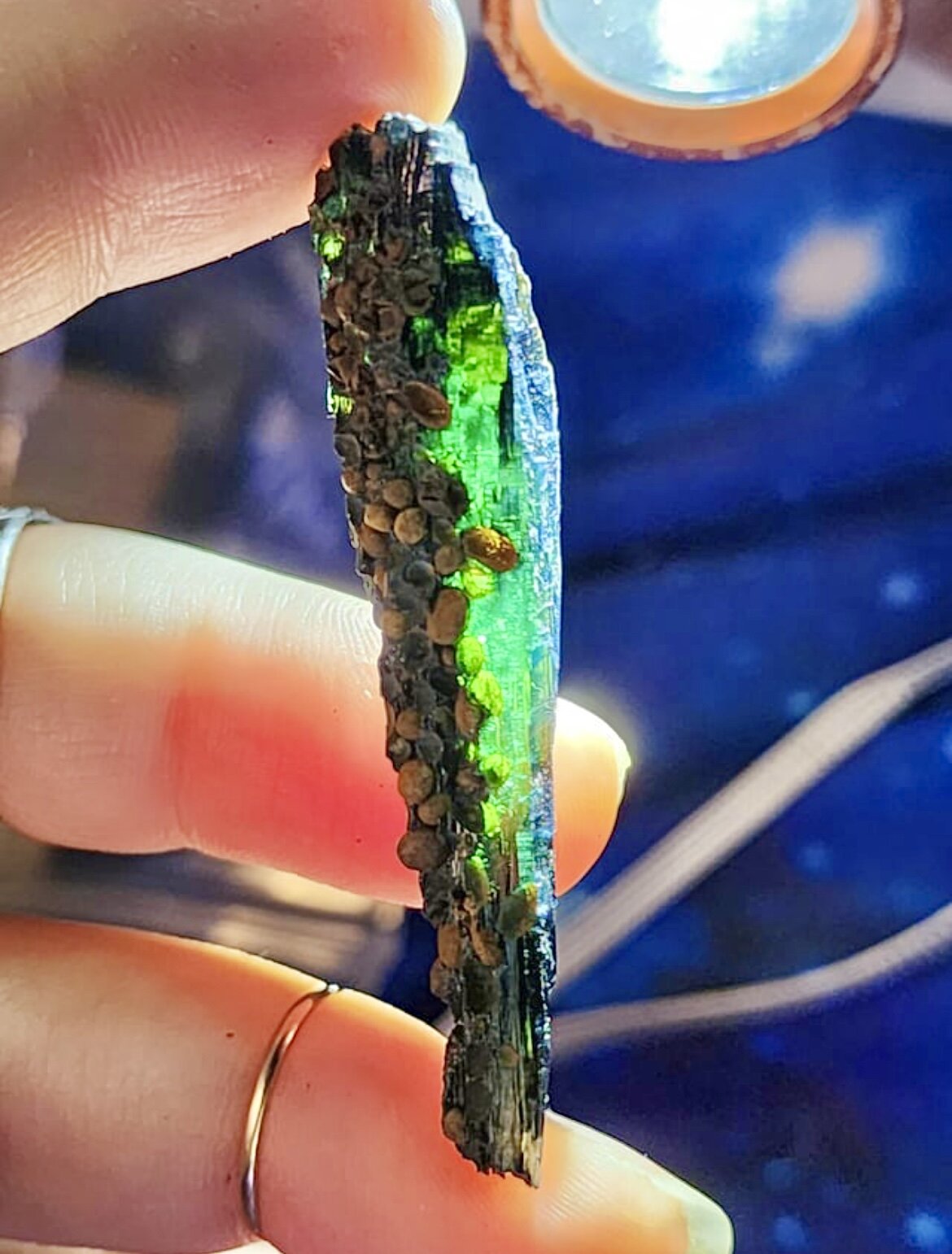 Have you seen Vivianite? Its a crystal that grows in and on corpses Its ...