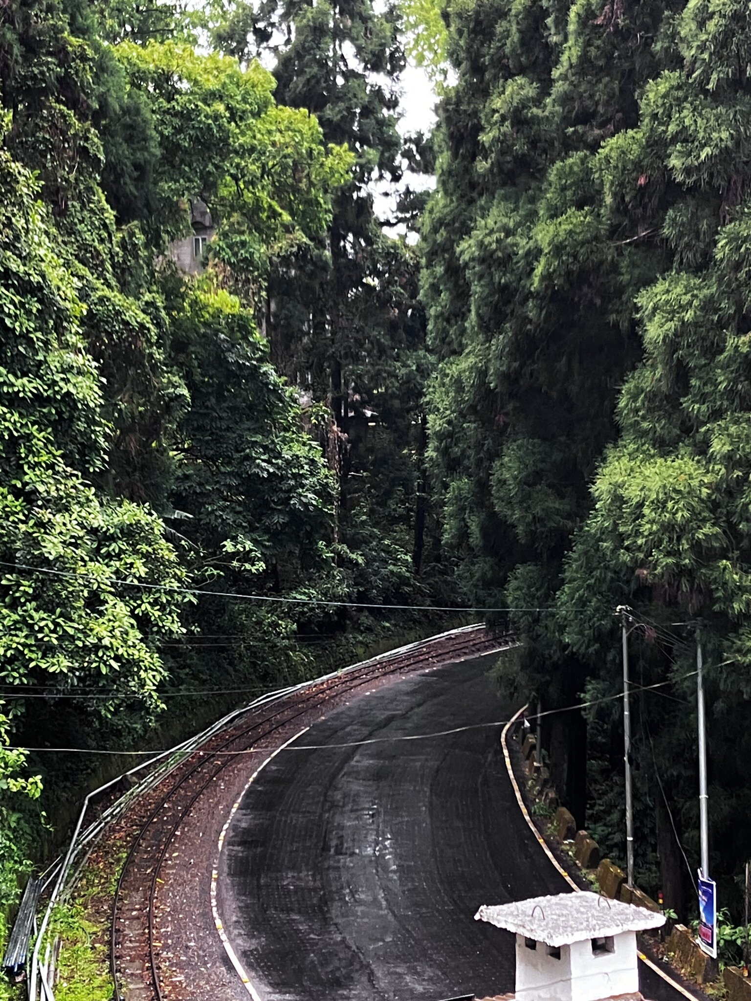 Good Thursday Morning! It’s drizzly and cloudy here this morning. How ...