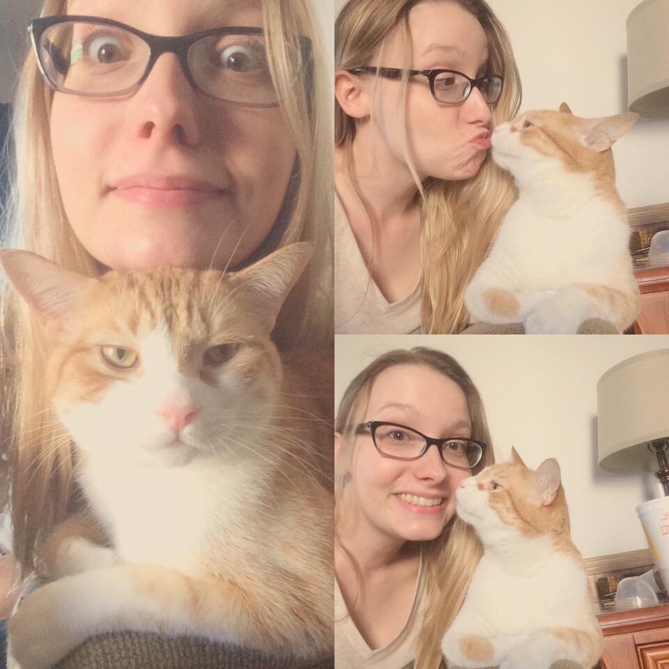 This Kitty! I love my Roommate Carrie's cat, Lee Lou!! Such a cutie! | Cats