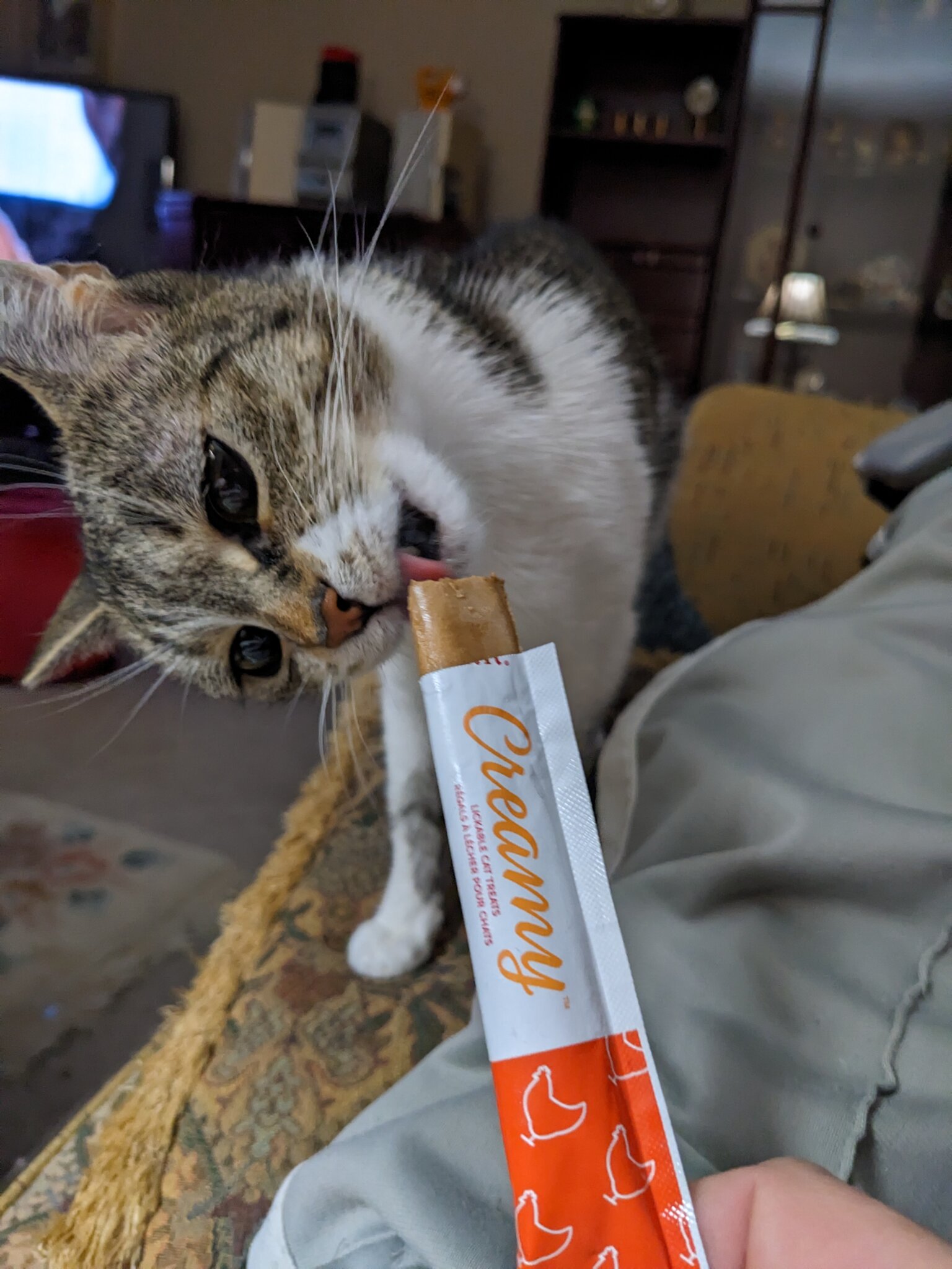 my cat has an addiction.... .....to these cat treats. this one is ...